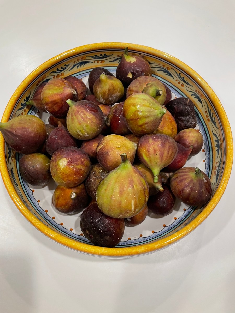 FIGS, FIGS and MORE FIGS – Ancora
